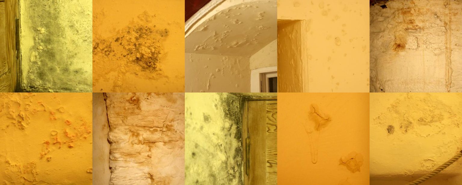How to keep your home free from damp and mould | PropCert